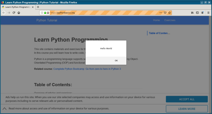 Selenium Execute Javascript Python Tutorial